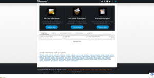 How to Complete a Bizapedia Removal Guide [+ Examples]