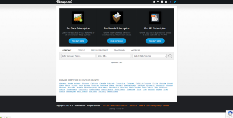 How to Complete a Bizapedia Removal Guide [+ Examples]