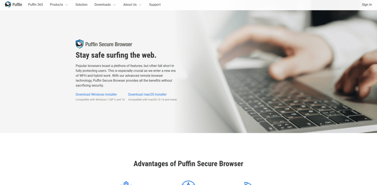 Is Puffin Browser Safe? - JoinDeleteMe