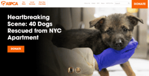 Is ASPCA a Scam? - JoinDeleteMe