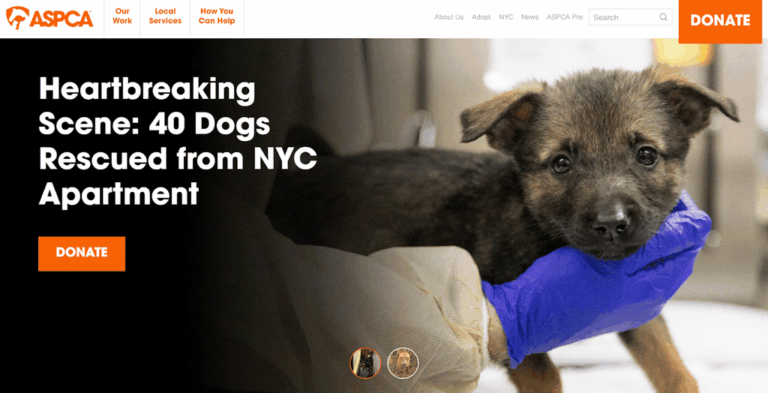 Is ASPCA a Scam? - JoinDeleteMe